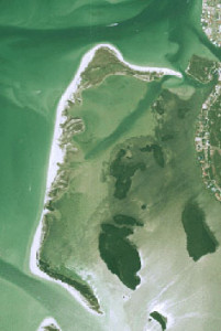 Shell Key 1999 | Friends of Shell Key